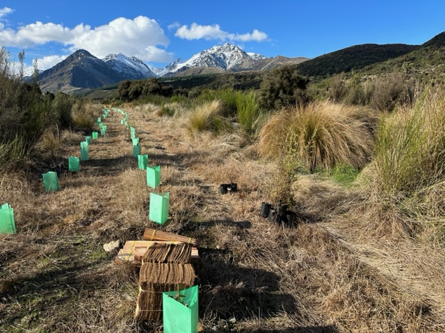 Te Kōawa Mahinga Kai Restoration Proiect | Trees That Count